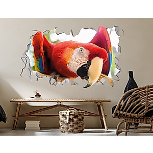 Macaw Parrot Wall Decal - Bird Sticker Decor - Parrots Tropical Wall Decor - Tropical Wall Decal - Animals Room Decor - Stickers for Kids Nursery Bedroom (24"W x 14"H (60cm x 36cm))