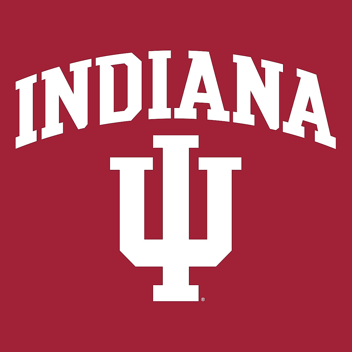 UGP Campus Apparel AH03 - Indiana Hoosiers Arch Logo Hoodie - Large - Cardinal