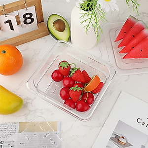 Tongnian 24 Pcs Plastic Drain Shelf for 1/6 Size Food Pan Clear Plastic Grate Acrylic Food Drain Trays for Food Fruit Vegetables Kitchen Restaurant Hotel