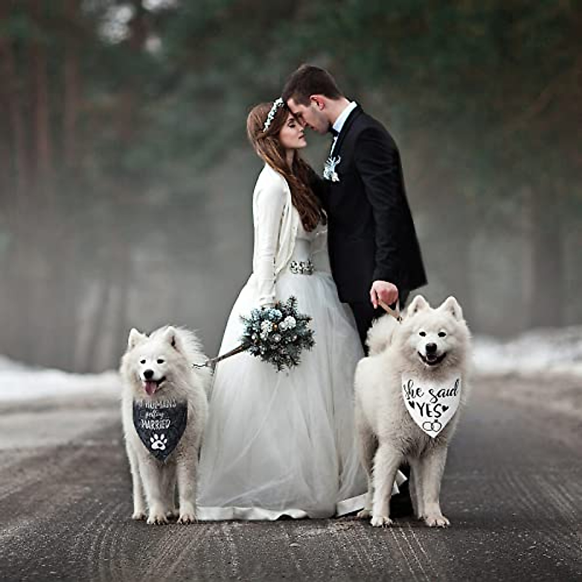 Dog Engagement Announcement, Will You Marry My Daddy Dog Bandana, Dog of Honor Bandana Wedding, Wedding Engagement Photos Pet Scarf Accessories for Small Medium Large Dog (White+Black)