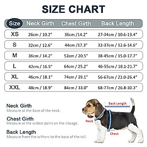GreenJoy Get-Well-Soon Dog Surgery Recovery Suit - Soft Breathable Dog Onesie Post-Spay/Neuter, Anti-Licking Dog Bodysuit for Small, Medium, Large Dogs (Grey, M)