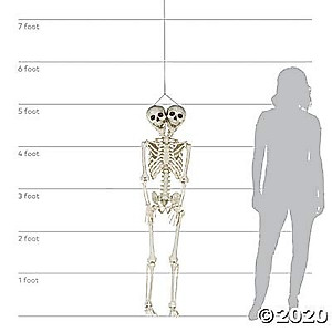 Fun Express Two-Headed Life-Size Human Skeleton (5 feet Tall) Posable