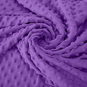 Pro Goleem Baby Soft Minky Dot Blanket with Silky Satin Backing Baby Gifts for Boys and Girls (Purple, 30’’ x 40’’)