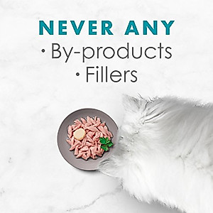 Purina Fancy Feast Wet Cat Food Complement, Appetizers Light Meat Tuna With a Scallop Topper - (10) 1.1 Oz. Trays