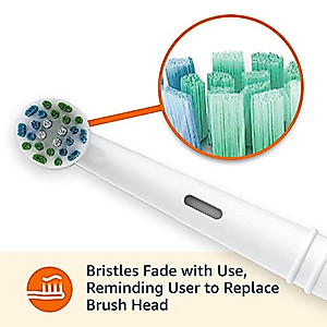 Amazon Basics Rechargeable Electric Toothbrush with 1 handle, 2 Action Clean Brush Heads and 1 Charger, Battery Powered, 4 Piece Set, White