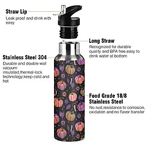 ALAZA Ladybug Squash Mushrooms Water Bottle with Straw Lids Boys Girls,Vacuum Insulated Leakproof Stainless-Steel Sports Bottle Thermal Flask for Gym Yoga Camping,20oz (600ml)
