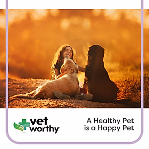 Vet Worthy Joint Support Level 3 - Chewable Tablet to Support Bone Health and Healthy Joints - Dog Supplement with Glucosamine, MSM, Hyaluronic Acid, Advanced Joint Care - Liver Flavor, 90-Count