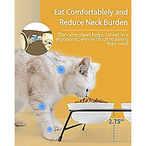 Cat Bowls, Upgraded 13 oz Ceramic Elevated Cat Food Bowls for Food and Water, Raised 2 Cat Dishes with Stainless Steel Stand Non-Slip and Anti-Rust, for Indoor Cats and Small Dog Bowl, Dishwasher Safe