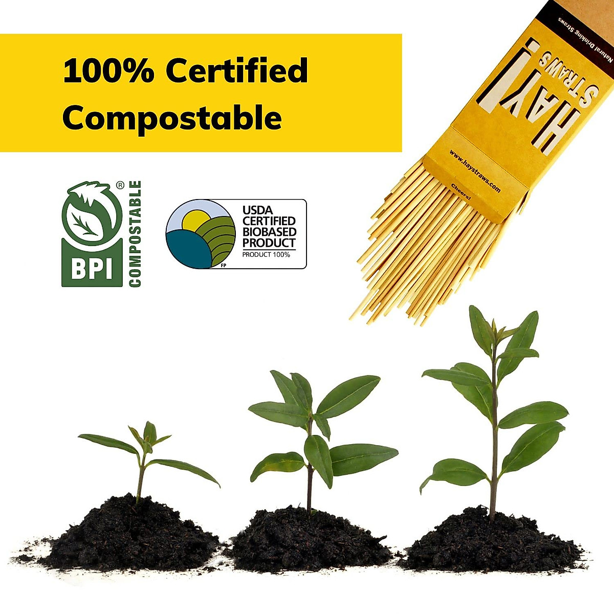 HAY! Straws Cocktail Straw | 100ct | 5" | 100% Biodegradable, 100% Plant-Based, Never Soggy, Gluten-Free | Sustainable Alternative to Plastic & Bioplastic Straws