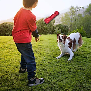 Dog Squeaky Toys Almost Indestructible,bfuee Dog Chew Toys for Aggressive Chewers, Toughest Natural Rubber,Pet Chew Toys for Medium and Large Breed,Bone Shape