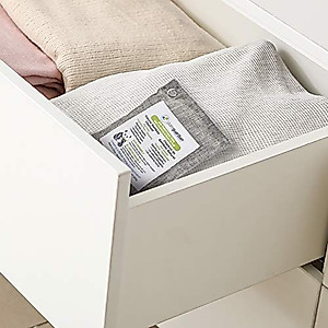 PureGuardian Guardian Technologies CB200 Bamboo Charcoal Air Purifying Bag, Eco-Friendly, Naturally Absorbs Odors, Excess Moisture and Pollutants, 200g, Gray