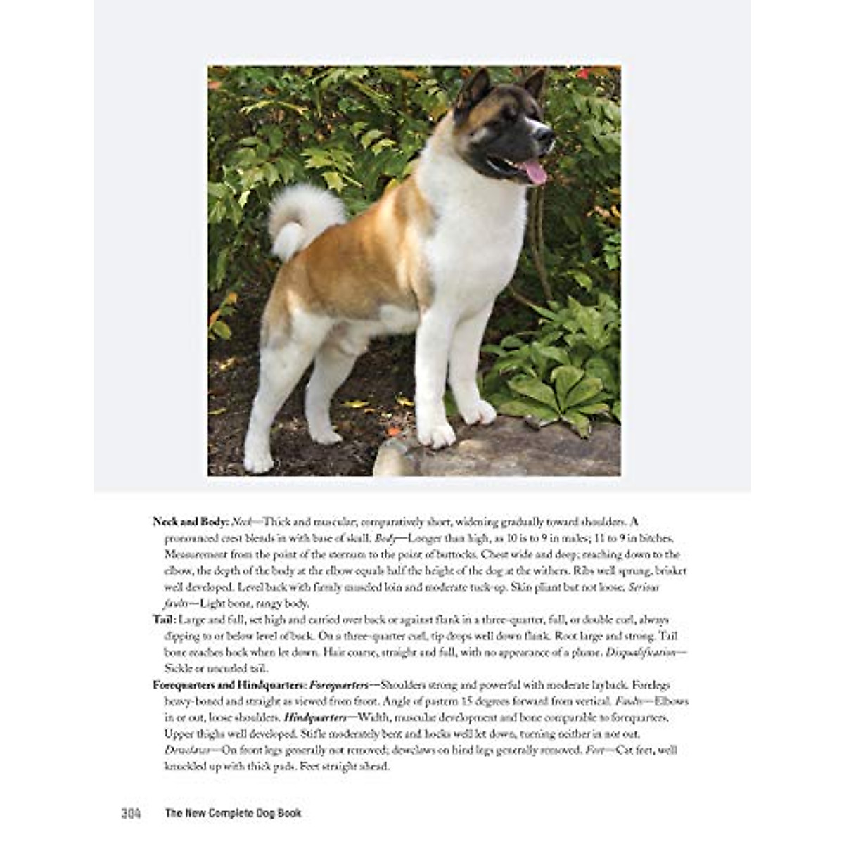 The New Complete Dog Book, 22nd Edition: Official Breed Standards and Profiles for Over 200 Breeds (CompanionHouse Books) American Kennel Club's Bible of Dogs: 920 Pages, 7 Variety Groups, 800 Photos