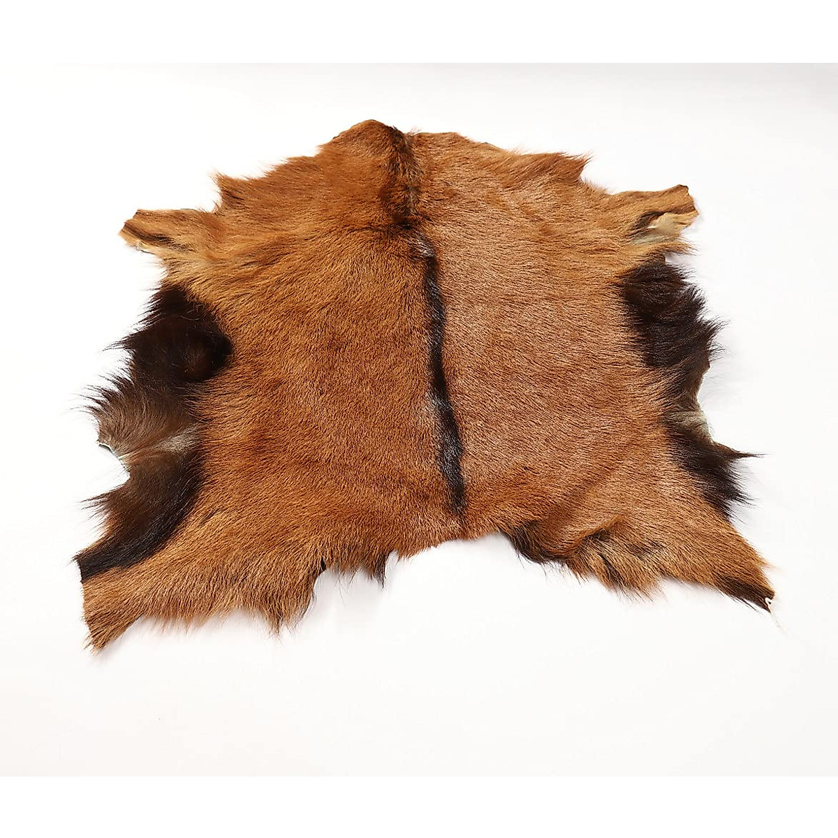 Natural Tanned Sheep Skin Antelope Fur Goat Hide Pelts Skin Springbok Fur Hide Pelt Rug Taxidermy Hunting Trophy and Fur Plush Fur Clothing Liner Bag Accessories 1PCS (16X16IN)