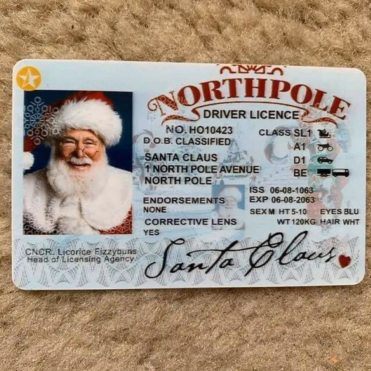 Santa Claus Lost Drivers License Christmas Decorations,Novelty Santa Sleigh Flying License ID Card,Santa Claus Card Flight License Christmas Eve Key Box Gift Xmas Tree Ornament