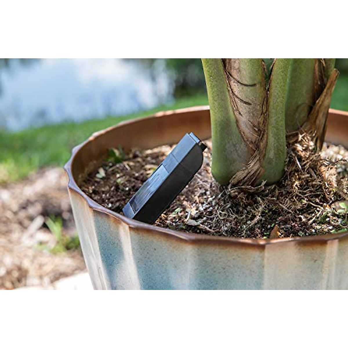 Kenroy Home 60650 Plant Solar Lighting, Small, Black