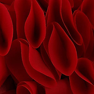 Purses and Handbags for Women Clutch Purse Party Clutch Shoulder Bags with Detachable Strap (Red)