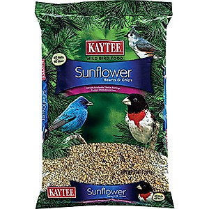 Kaytee Wild Bird Sunflower Seed 3 Lbs.
