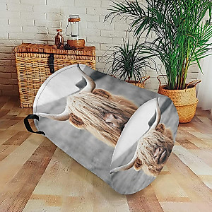 Omw2fyb Funny Highland Cow Head Laundry Basket Fabric Collapsible Organizer Basket for Storage Bin Toy Bins Gift Baskets Bedroom Clothes Nursery Hamper, 17'' H x 13.6''D