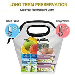 Naanle Ocean Beach Theme Insulated Zipper Lunch Bag Cooler Tote Bag for Adult Teen Men Women, Ocean Starfish Lunch Boxes Lunchboxes Meal Prep Handbag