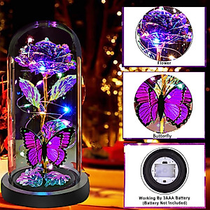 Mothers Day Flowers Gifts Mom, Rose Flower Mom Gifts Wife Grandma Her, Galaxy Crystal Light Up Rose Flowers in A Glass Dome Purple, Mother Day Presents from Daughter Butterfly Birthday Gifts for Women