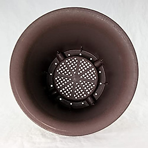 Calibonsai Round Cascade Plastic Bonsai, Succulent Pot & Orchid Planter 7.75inchx 7.75inchx 8inch - Tan