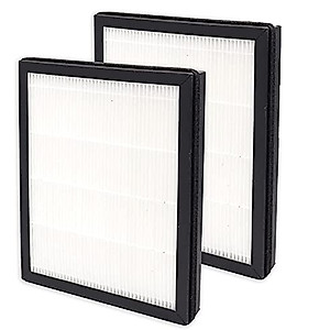 Prinko 2-Pack Type A H13 True HEPA Replacement Filter A, Compatible with Filtrete FAP-C01-A and IDYLIS AC-2119, IAP-10-100, IAPC-40-140, IAP-10-150 Air Purifier, Part # 1150096, Filter Size A (2)