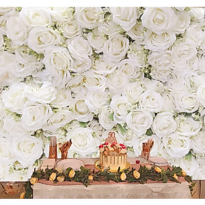 White Rose Floral Photography Backdground Rose Theme Valentines Day Party Bridal Shower Party Decoration Backdrop (7x5FT)