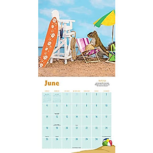 The Secret Life of Squirrels Wall Calendar 2023: Wild Squirrels Interacting with Handcrafted Domestic Scenes