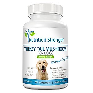 Nutrition Strength Turkey Tail Mushroom for Dogs to Support a Strong Immune System, Promote Gut Health, Antioxidant Activity & Inflammatory Relief, Reduce Fatigue & Boost Stamina, 120 Chewable Tablets