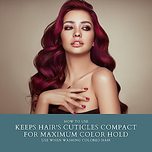 smartSOLUTIONS Dual-Action Creme Shampoo | Sulfate, Paraben & Sodium Chloride Free | Color Safe & Chemically Treated Hair Safe (12 fl oz)