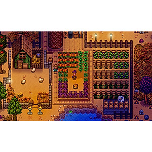 Stardew Valley Collector's Edition (PS4)
