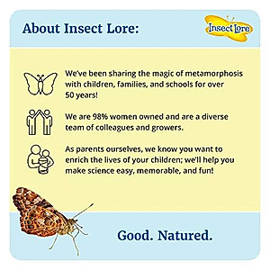 Butterfly Garden: Original Habitat and Two Live Cups of Caterpillars with STEM Butterfly Journal – Life Science & STEM Education – Butterfly Science Kit