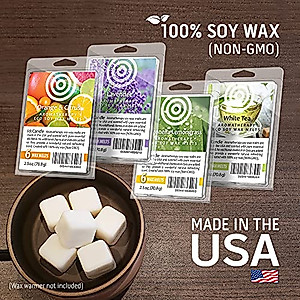 I & Candle, (Set of 4) Orange & Citrus / Lavender / Citronella & Lemongrass / White Tea Aromatherapy Wax Melts. 100% Soy Wax Non-GMO. Made in the USA