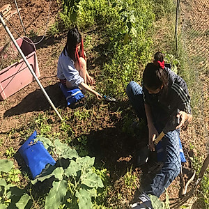 PILLOW GANIC Kneeling Pad, Superior Comfort Compared to Foam Pads. Made in USA, Weatherproof Natural Hull Filling Yard Work Gardening Shop Yoga Exercise Praying Bath Kneeler