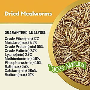 Adaman Dried Mealworms -5 LBS- 100% Natural Non GMO High Protein Mealworms - Bulk Mealworms for Wild Birds, Chicken Treats, Hamster Food, Gecko Food, Turtle Food, Lizard Food