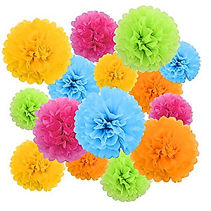 Livder Paper Flowers Bright Colorful Tissue Paper Pom Poms for Party Birthday Wedding Christmas Festive Decorations, 15 Pieces of 10, 12, 14 Inch
