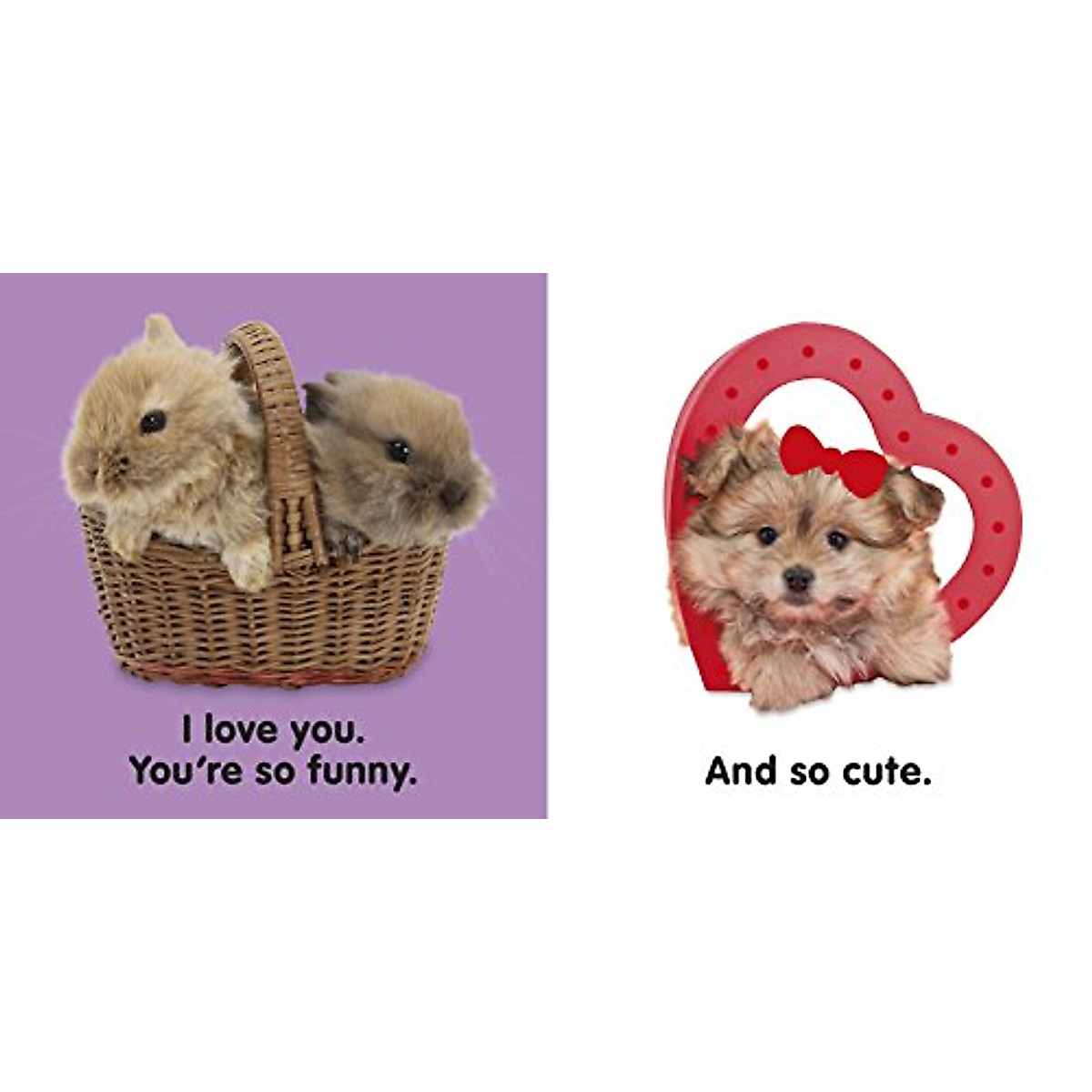 Baby Touch and Feel I Love You