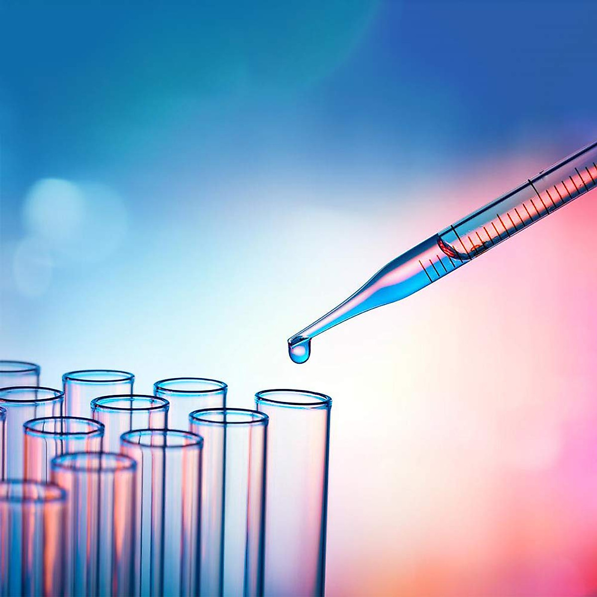 Twdrer 50 PCS Clear Plastic Test Tubes with Cap and Rack for Scientific Experiment,Halloween,Christmas,Scientific Theme Party Decoration,Candy Storage(12mm x 100mm)