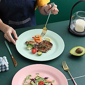 4 Pack 13 Inch Extra large Size Dinner Plate Sets, Delicious Pasta Plates, Unbreakable Dishes, Lightweight Salad Dinnerware, Reusable Dessert Tableware (33cm Beige)