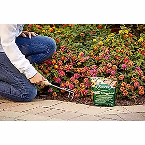 Scotts All Purpose Flower and Vegetable Continuous Release Plant Food, 3-Pound