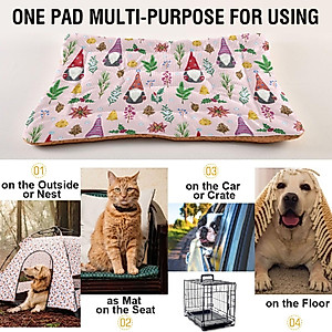 Coikll Christmas Gnomes Plants Pet Bed Pad Soft Dog Bed Mat with Anti-Slip Bottom, Machine Washable Crate Pad Mattress for Dog Sleeping- 36 * 24inches