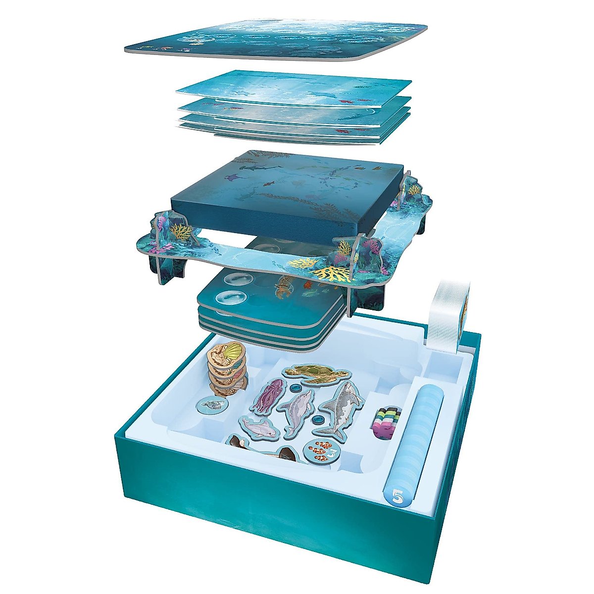 Sit Down! Dive Board Game - Unique Transparent Ocean Cards, Push Your Luck, Catch a Ride on a Sea Turtle or Dolphin - First to 23 Points Wins, 1-4 players, 20-30 mins, Ages 8+