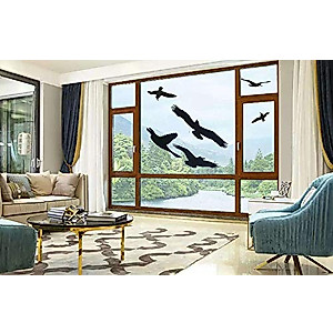 Anti-Collision Window Bird Stickers Glass Door Protection Save Birds Window Decals, 12 Pcs (Combinations)