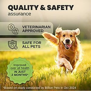 Billion Pets - Hemp Oil for Dogs and Cats - Helps with Anxiety, Pain - Hip and Joint Support - Calming Treats