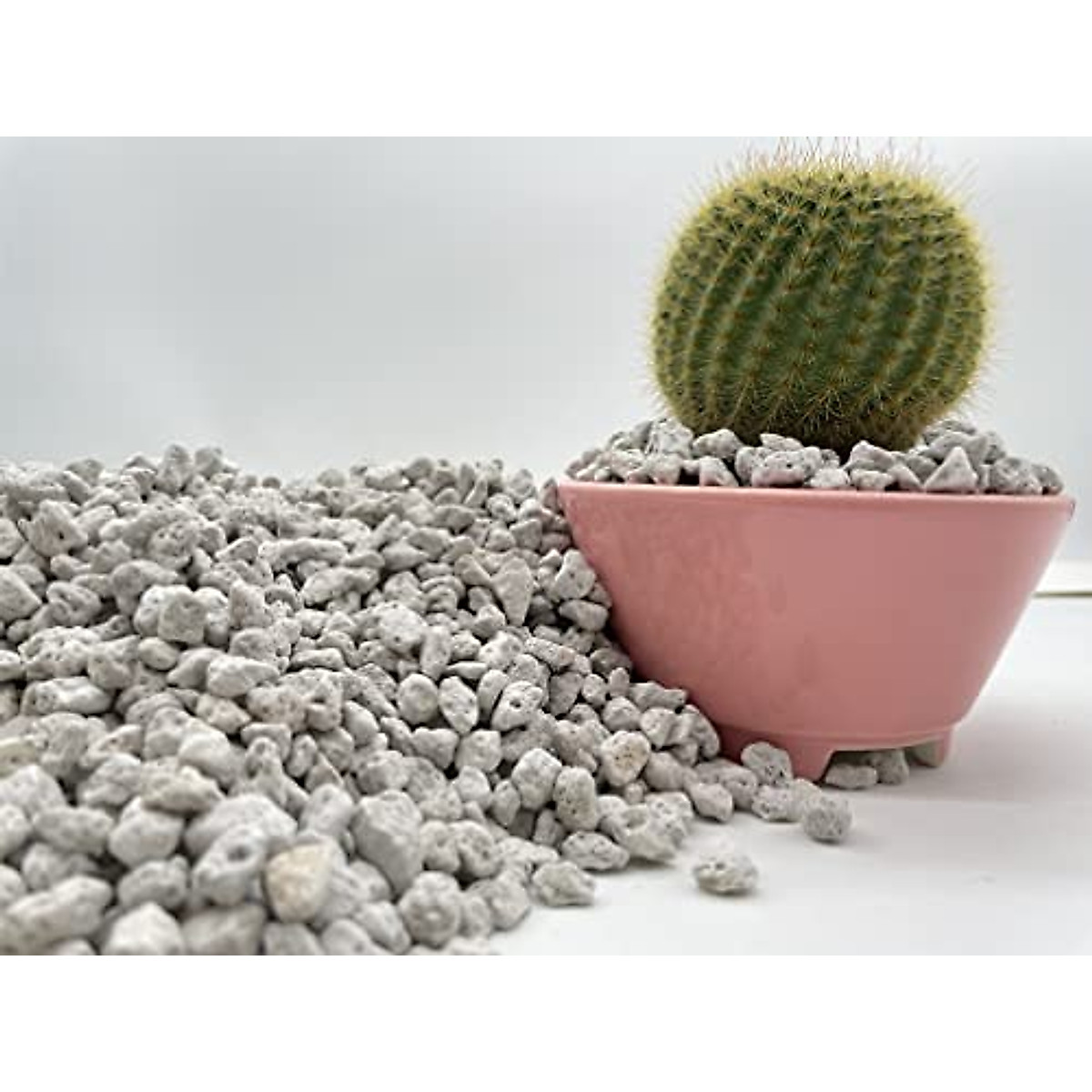Pumice for Bonsai, Succulent, Cactus | 2 Quarts Bag | 1/4” Particle Size | The Bonsai Supply