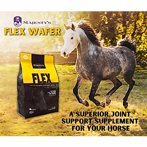 Majesty's Flex Wafers - Superior Horse / Equine Joint Support Supplement - Glucosamine, MSM, Chondroitin, Yucca, Vitamin C - 60 Count (2 Month Supply)
