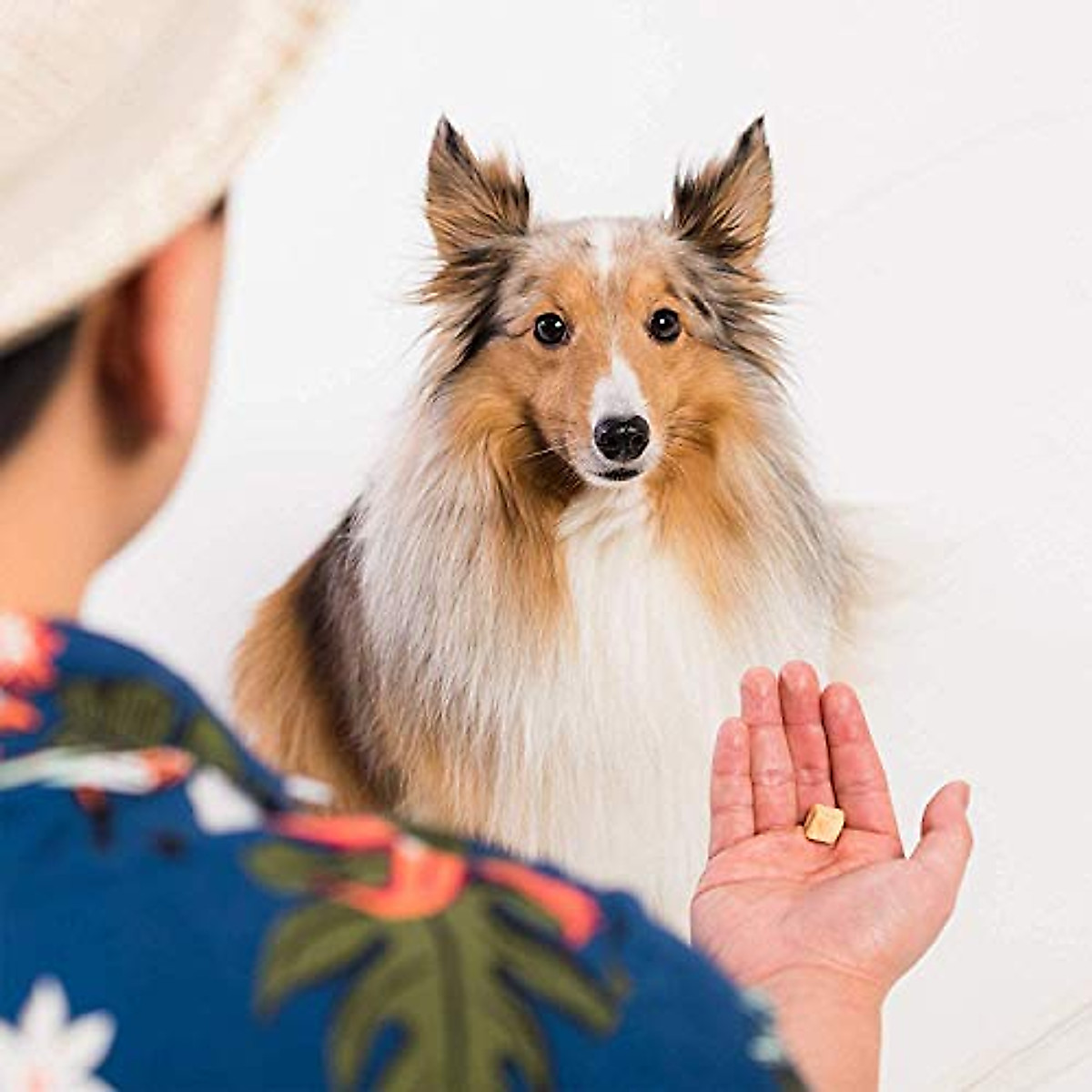 LIFE ESSENTIALS BY CAT-MAN-DOO All Natural Freeze Dried Wild Alaskan Salmon Crunchies Treats for Dogs - Single Ingredient Grain Free Snack with No Additives or Preservatives, - 5 Ounce Bag