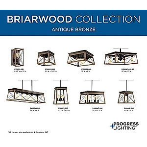 Briarwood Collection 5-Light Coastal Chandelier Light Antique Bronze