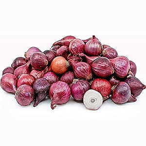 Kejora Fresh Red Pearl Onions 10 Ounce (Pack of 3)