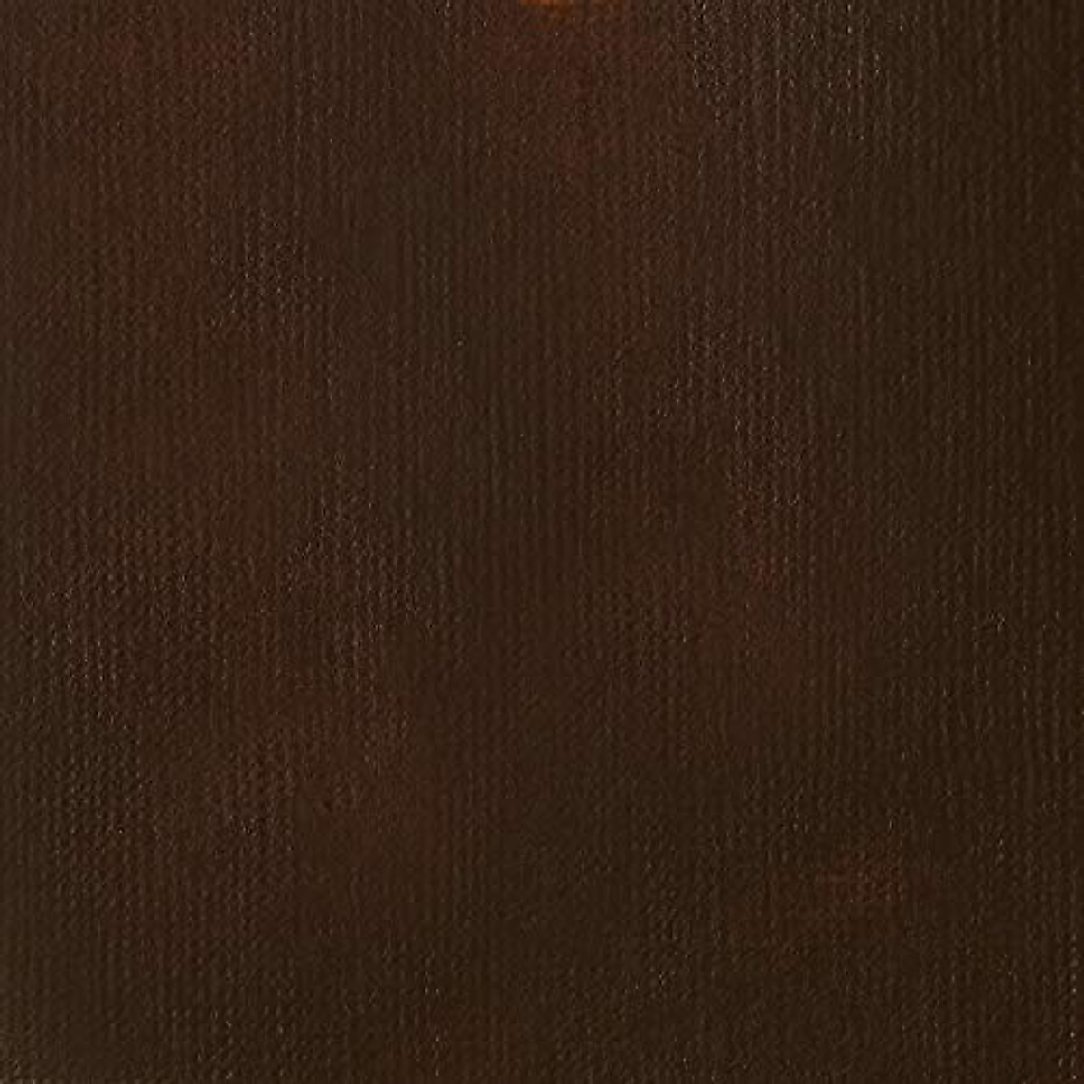 Liquitex BASICS Acrylic Paint, 250ml (8.5-oz) Tube, Burnt Umber